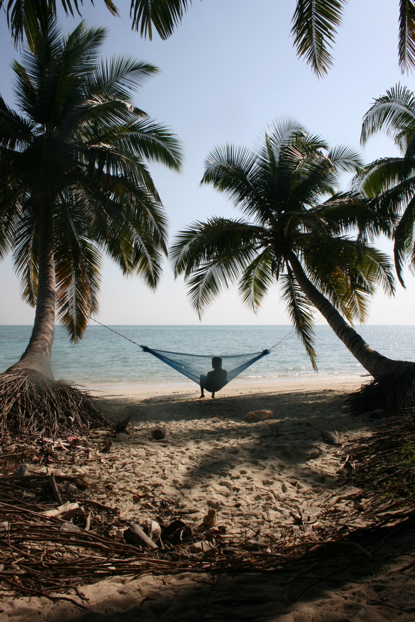 OceanRituals – the extraordinary surfcamp